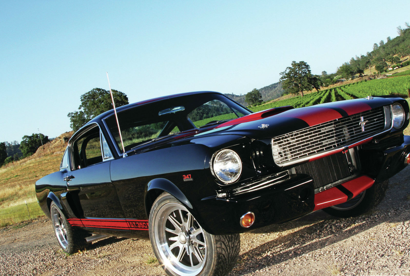Ford Redback 1967 Mustang Fastback Fitting Tribute to CJ Hotchkiss!