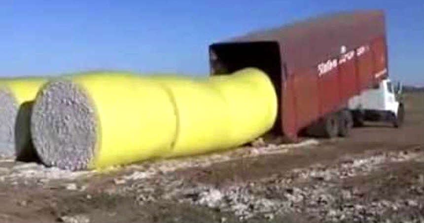 This INTELLIGENT Cotton Module TRUCK Driver Is Doing The Job Properly ...