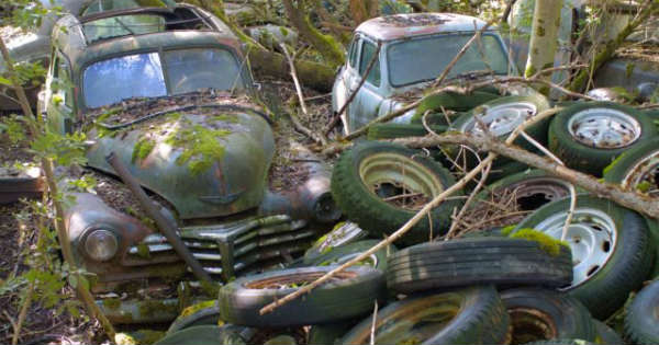 +1,500 Classic Cars! Switzerland Has The Greatest Vintage Car Graveyard ...