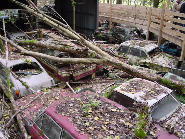 +1,500 Classic Cars! Switzerland Has The Greatest Vintage Car Graveyard ...