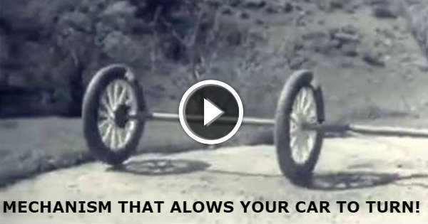 Without This AMAZING Mechanism We Would NOT Have Had CARS! - Muscle ...