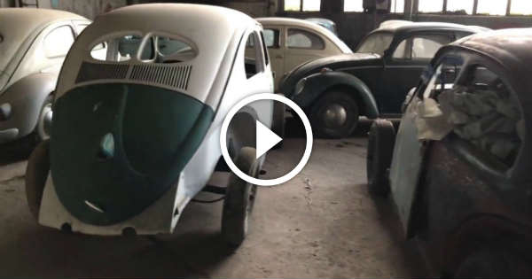 Classic Split Window VW Bugs Barn Find in Bulgaria, Eastern Europe ...