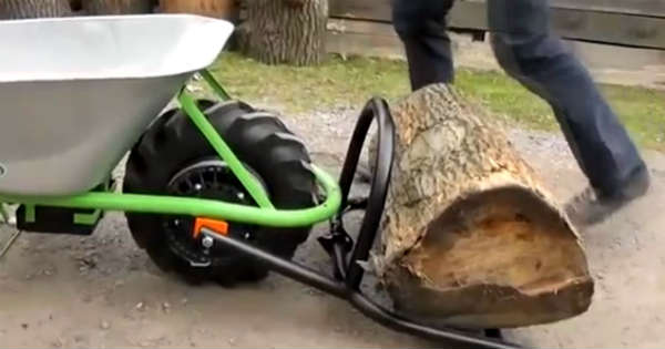 TOP 5 Hand Truck Kart Brands That You Will Need One Day! - Muscle Cars ...