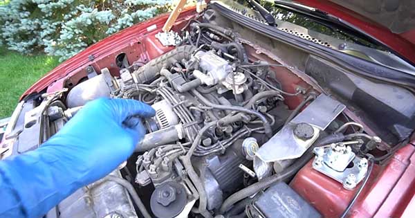 What Is It Like To Have A Clean Engine Bay? This Guy Will Show You ...