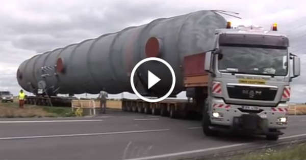 These Large Trucks Can Transport Literally ANYTHING! - Muscle Cars Zone!