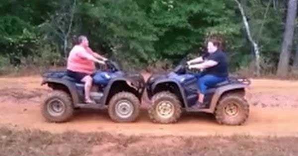 Insane Fail Compilation Featuring Everything There Is On Wheels ...