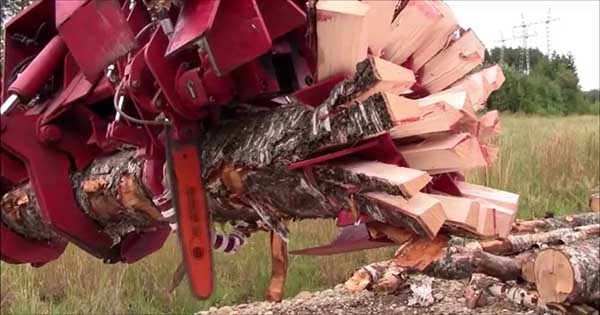 EXTREME Wood Cutting Machine! - Muscle Cars Zone!