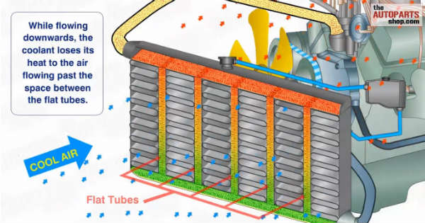 How Car Cooling System Works! Awesome Animation! - Muscle Cars Zone!